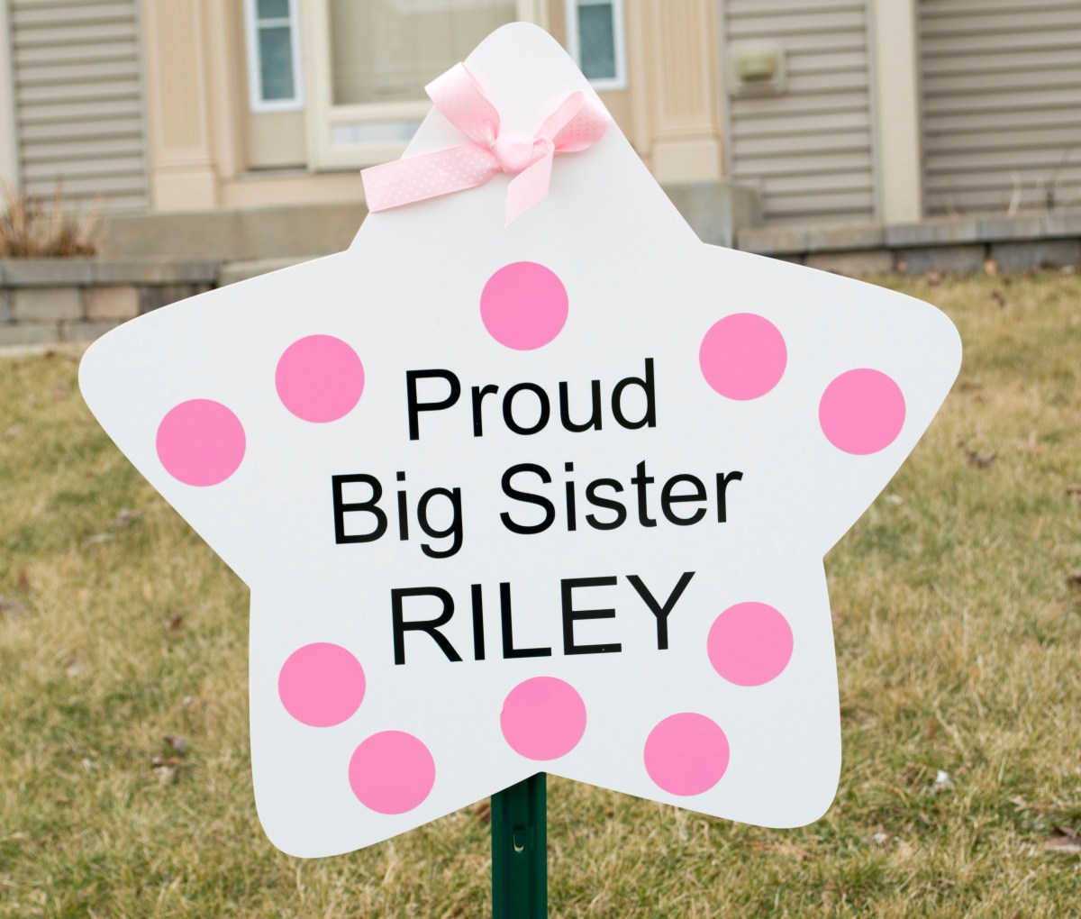 riley_sister_star | Stork Celebrations