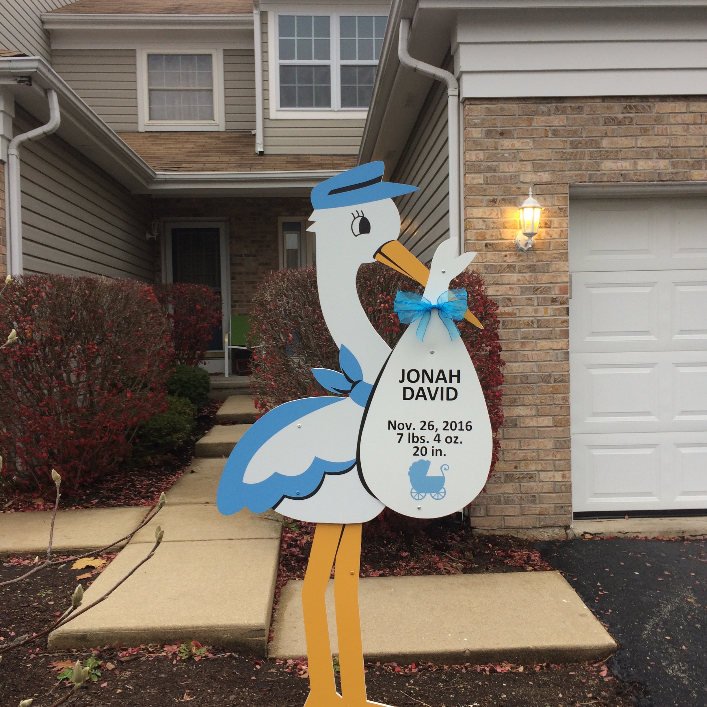 Another Jonah! | Stork Celebrations