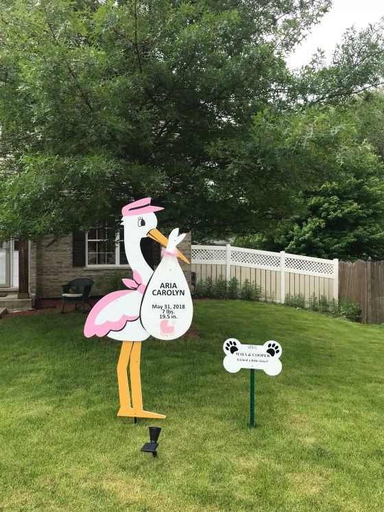 Angelic Aria! | Stork Celebrations