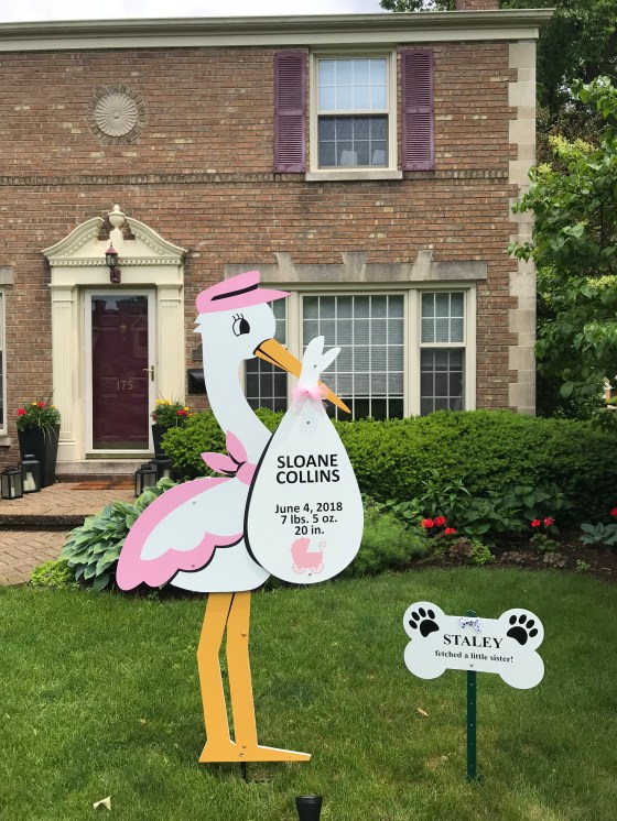 Sweet Sloane! | Stork Celebrations